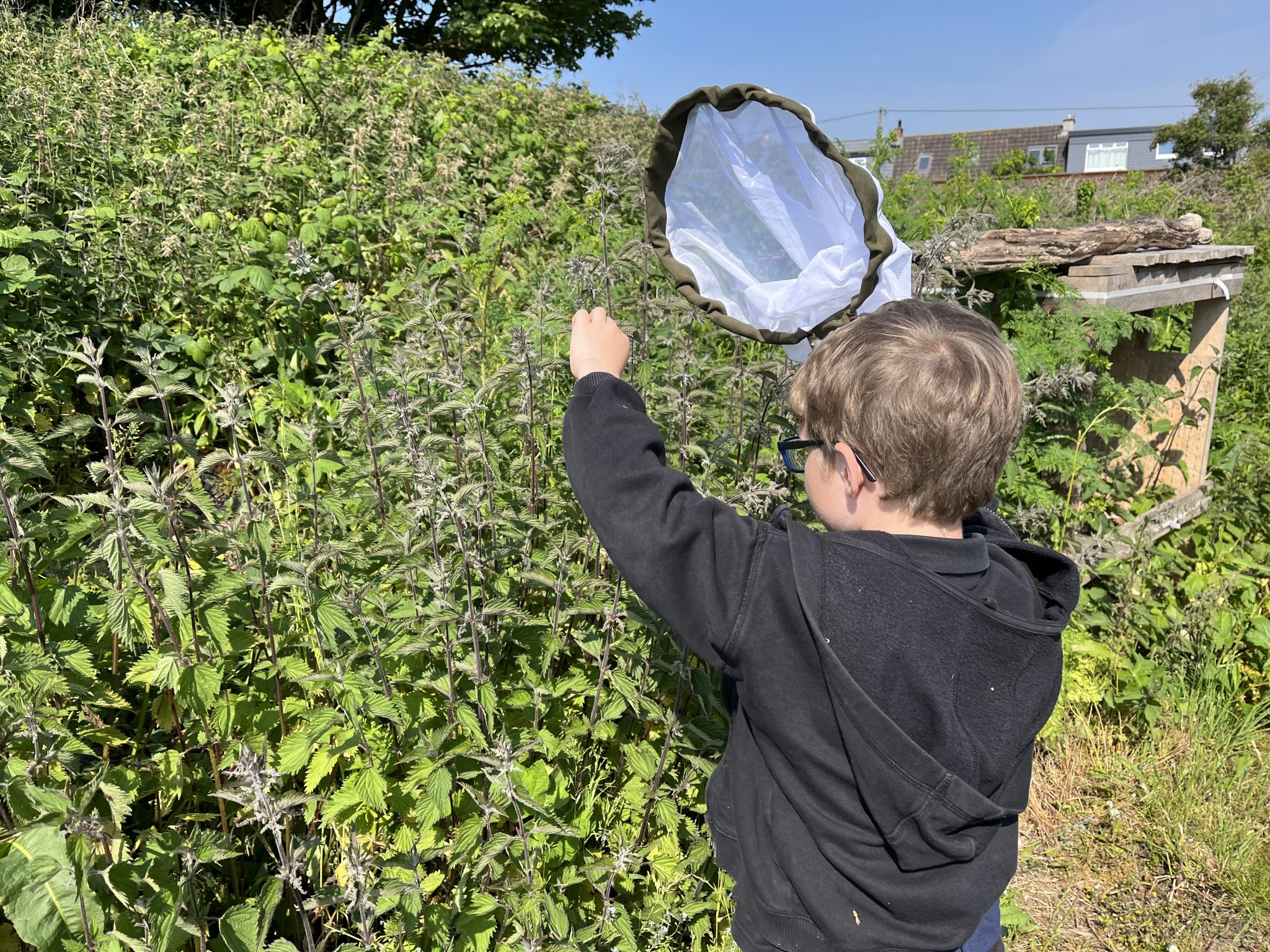 Bug Hunt and Butterfly Walk – Tayside Biodiversity