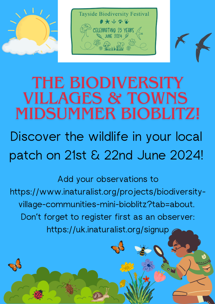 Biodiversity Villages & Towns Midsummer BioBlitz – Tayside Biodiversity