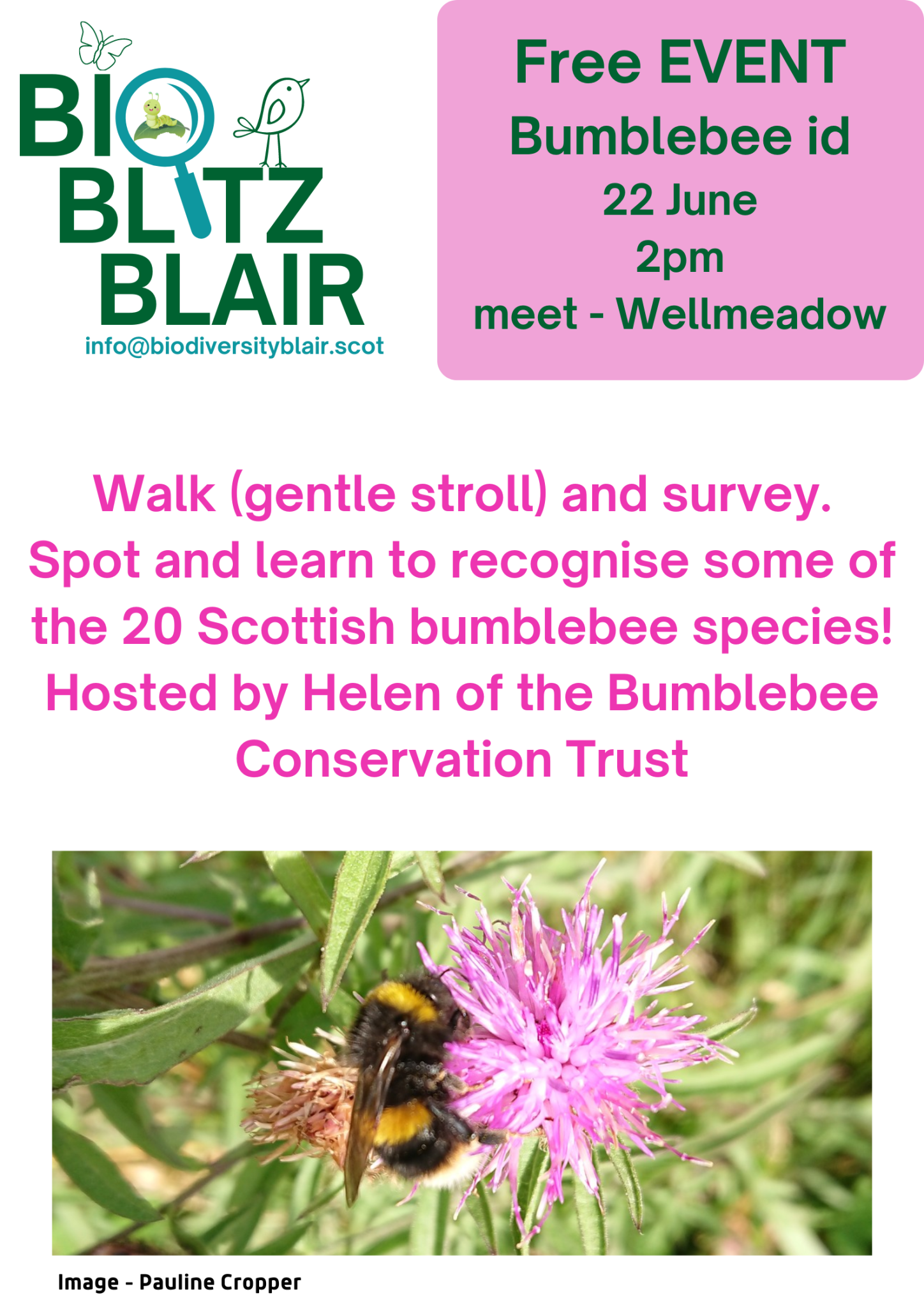 Bumblebee Identification Stroll – Tayside Biodiversity